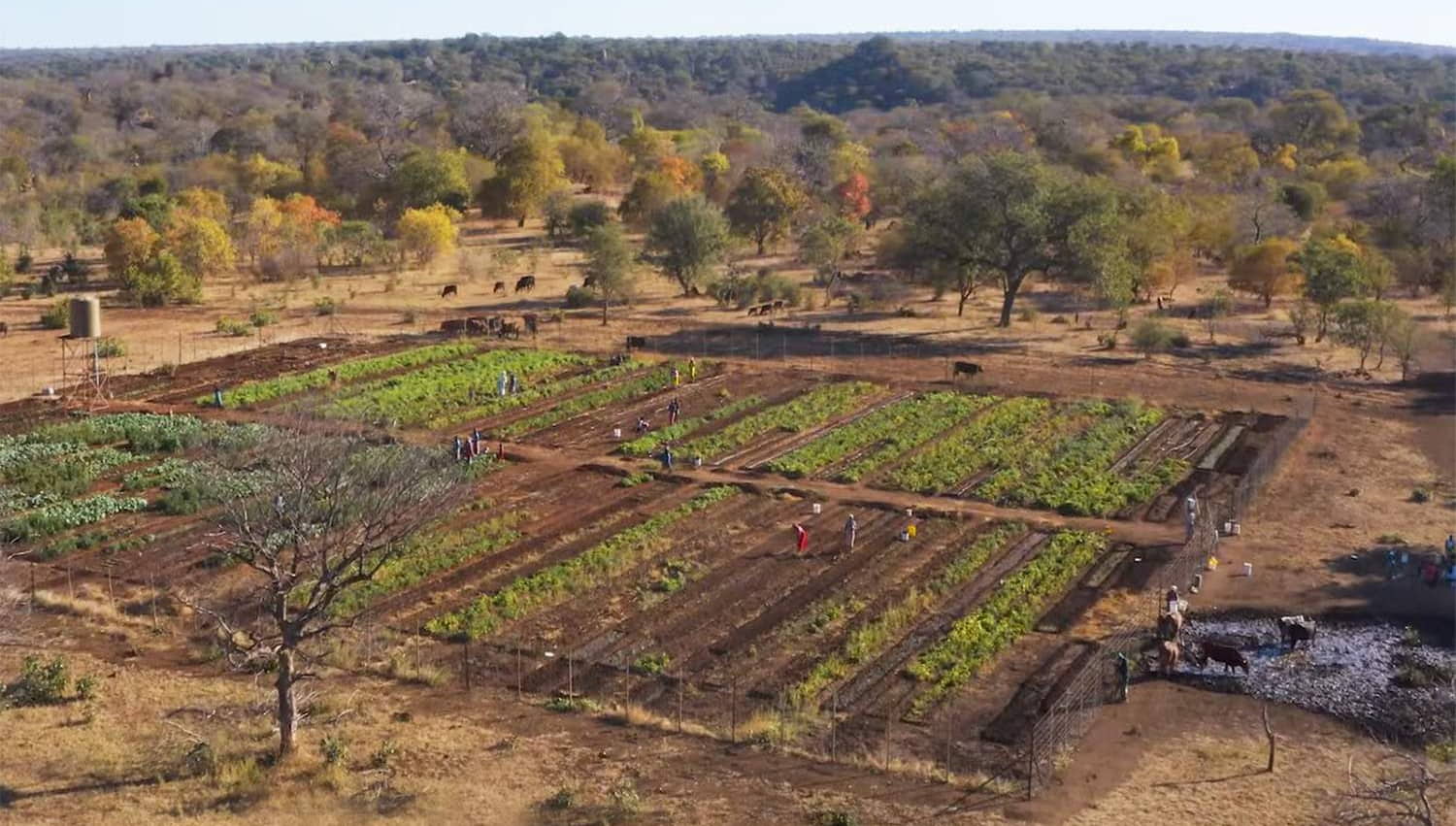 Farming Operations - Future projects